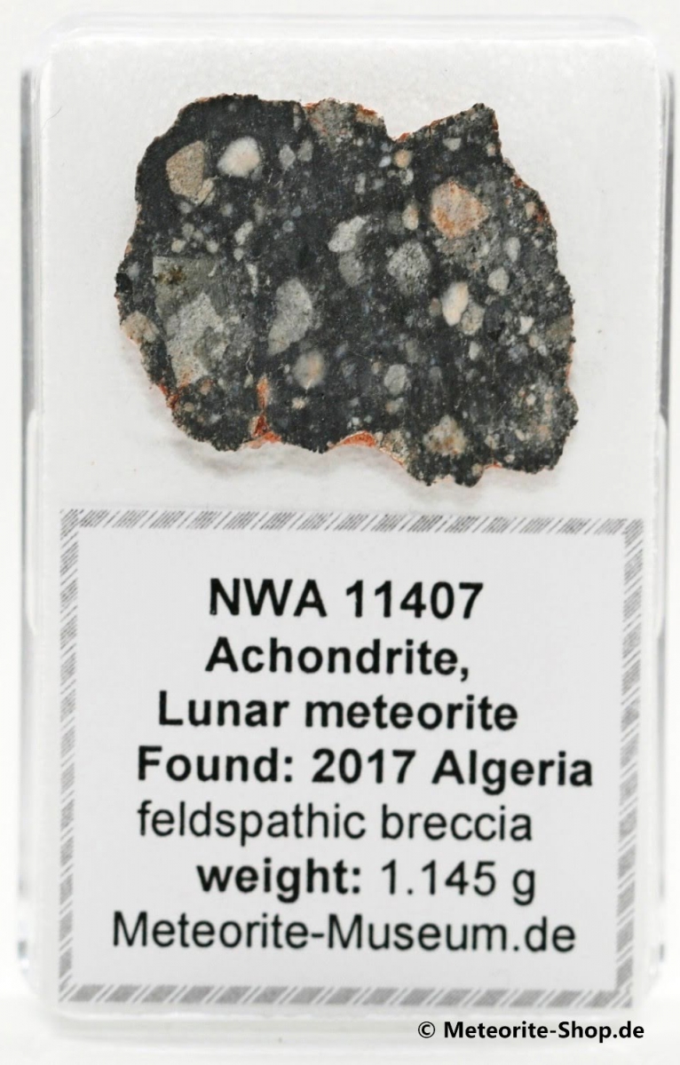 NWA 11407 Mond Meteorit - 1,145 g kaufen | Decker Meteorite-Shop