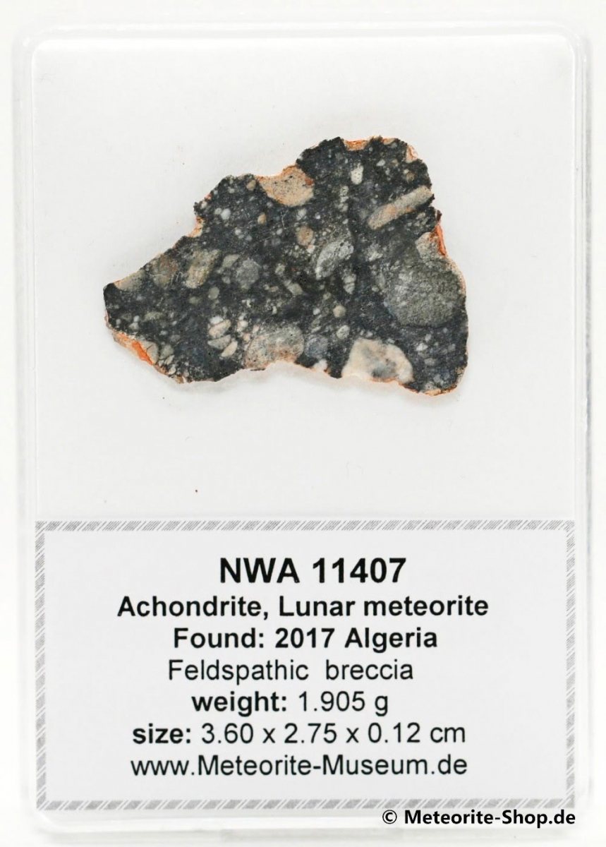 NWA 11407 Mond Meteorit - 1,905 g kaufen | Decker Meteorite-Shop